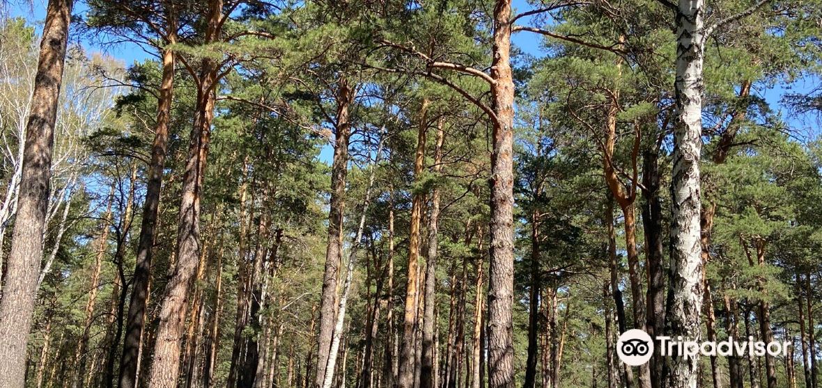 Things to Do in Prokopyevsk in 2025 - Top Attractions, Local Food ...