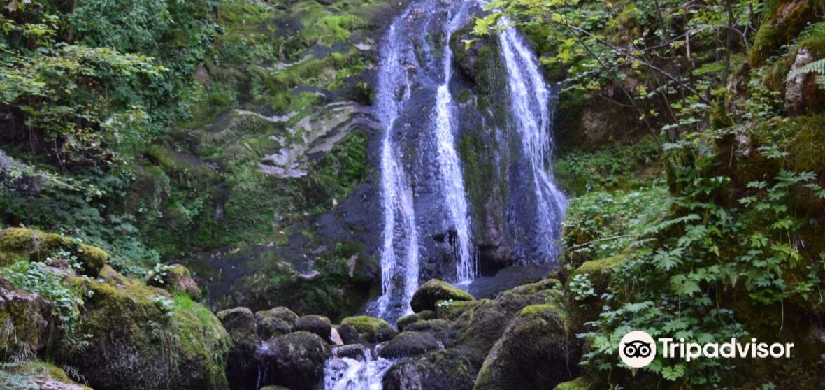 Les Molunes Travel Guide 2024 - Things to Do, What To Eat & Tips | Trip.com