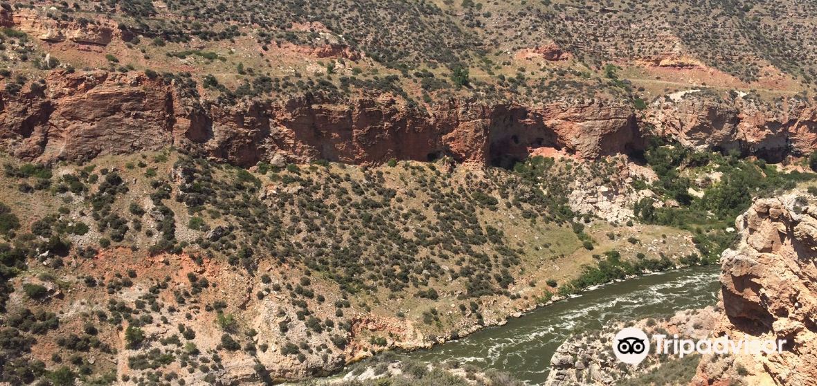 Things to Do in Hardin in 2025 - Top Attractions, Local Food, Hotels ...