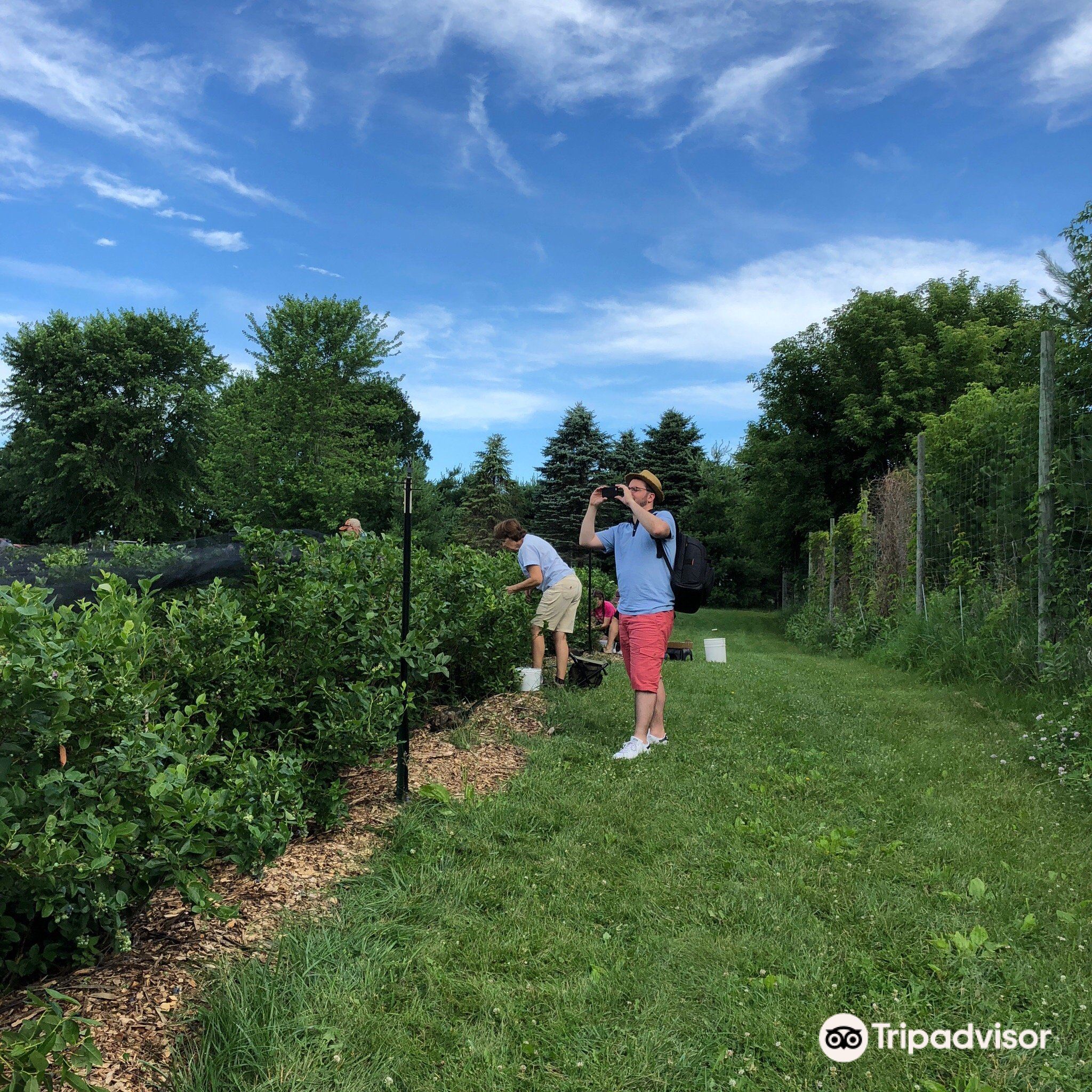 réductions sur les billets de Blueberry Fields of Stillwater, prix et ...