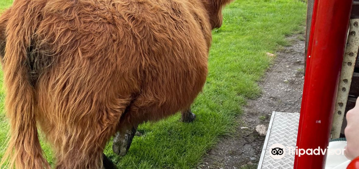 Things to Do in Mancot in 2024 - Top Attractions, Local Food, Hotels ...