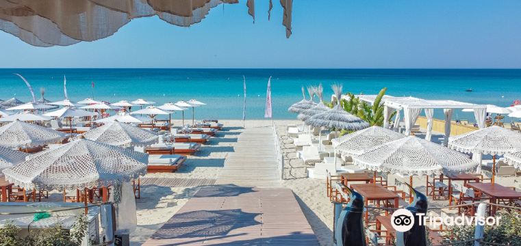 Things to Do in Porto Cesareo in 2025 - Top Attractions, Local Food ...