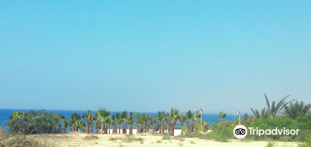 Perivolia Travel Guide 2024 - Things to Do, What To Eat & Tips | Trip.com