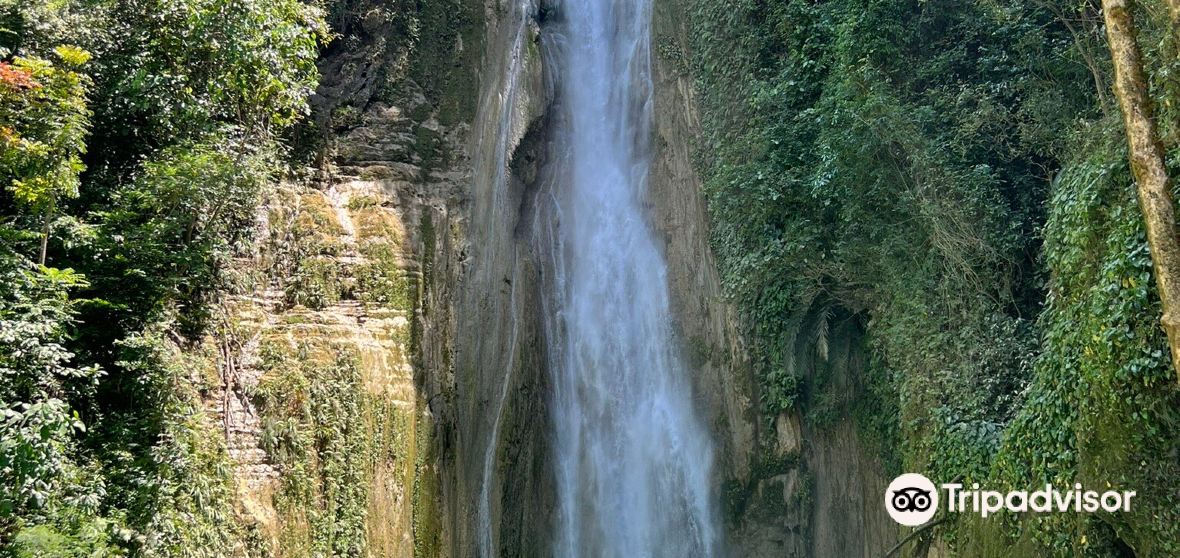 Things to do in Barili (2025): Top nearby activities,popular ...