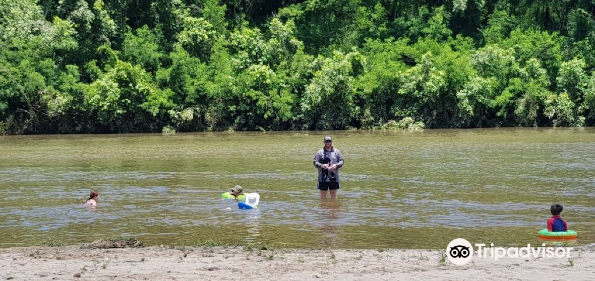 Things to Do in Mirani in 2024 - Top Attractions, Local Food, Hotels ...