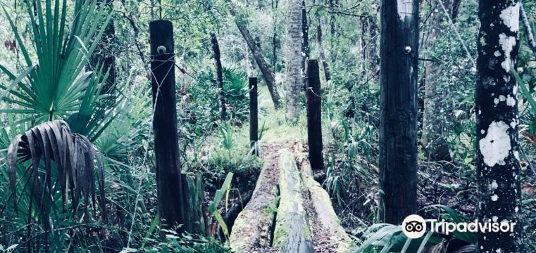 Things to Do in Lake Mack-Forest Hills in 2024 - Top Attractions, Local ...