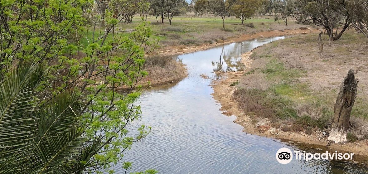 Things to do in Marnoo West (2025): Top nearby activities,popular ...