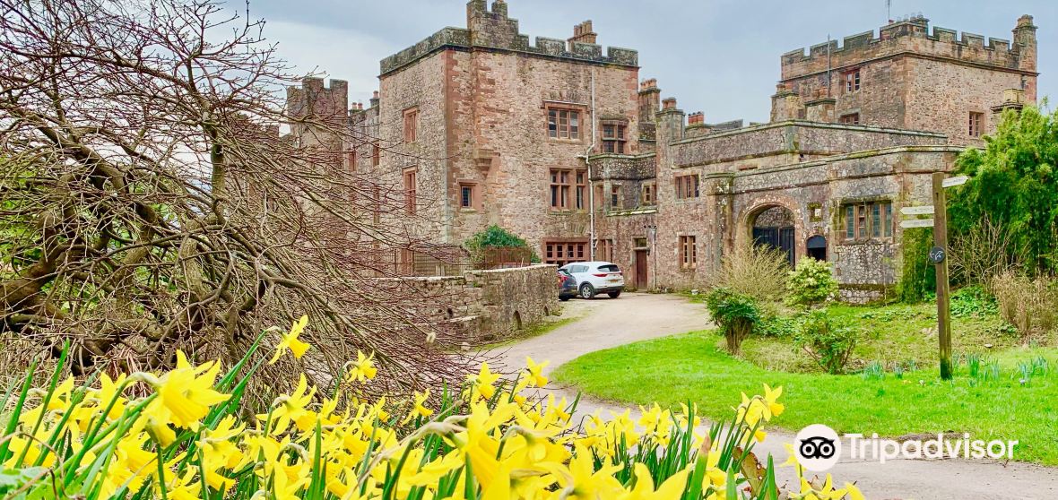 Things to Do in Copeland District in 2025 - Top Attractions, Local Food ...