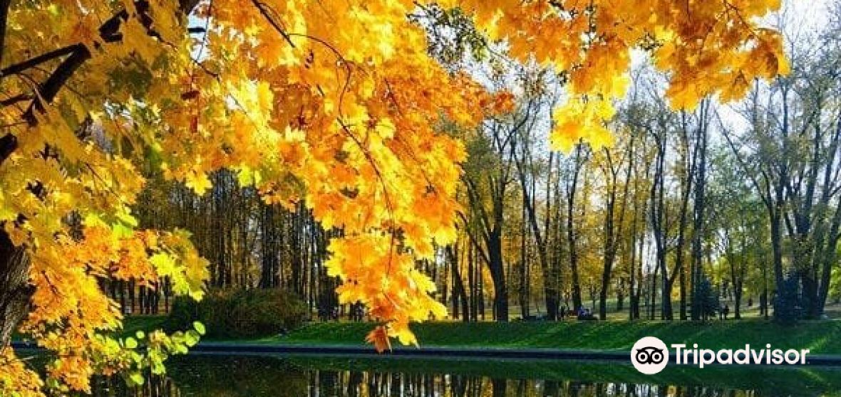 Things to Do in Bolu Merkez in 2025 - Top Attractions, Local Food ...