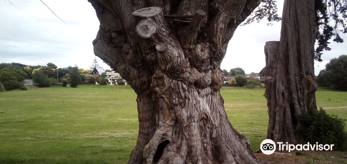 เที่ยวAwapuni (2024) - ที่เที่ยวใน Awapuni, กิจกรรมสนุกๆ, โรงแรม ...