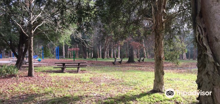 Things to Do in Croydon North in 2025 - Top Attractions, Local Food ...