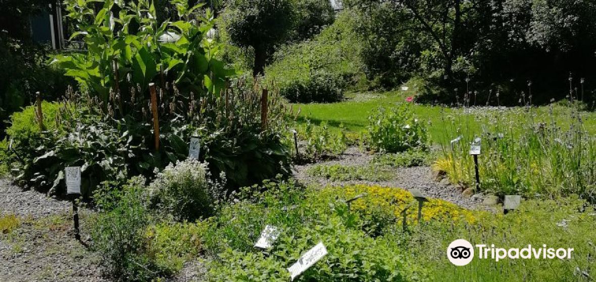 Falkoping Municipality Travel Guide 2024 - Things to Do, What To Eat ...