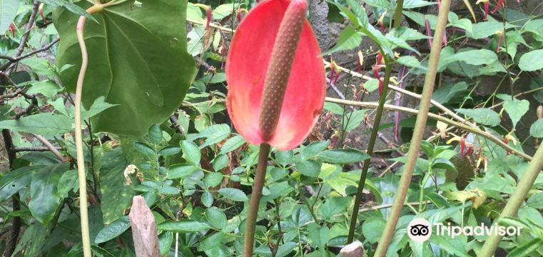 Things to Do in Pluma Hidalgo in 2024 - Top Attractions, Local Food ...