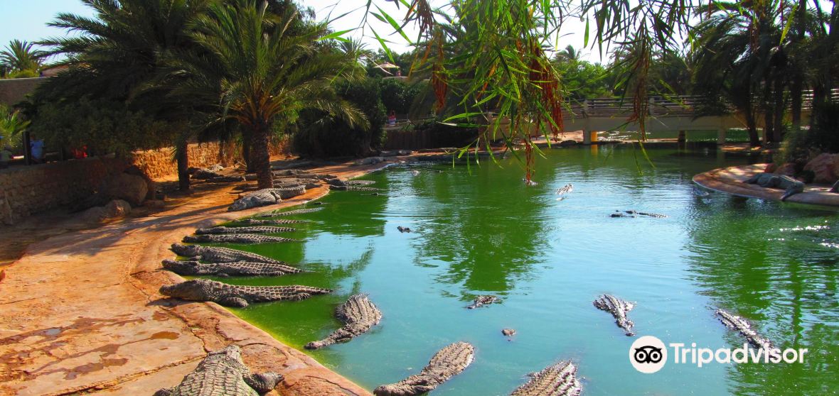 Things to Do in Djerba Midun in 2024 - Top Attractions, Local Food ...