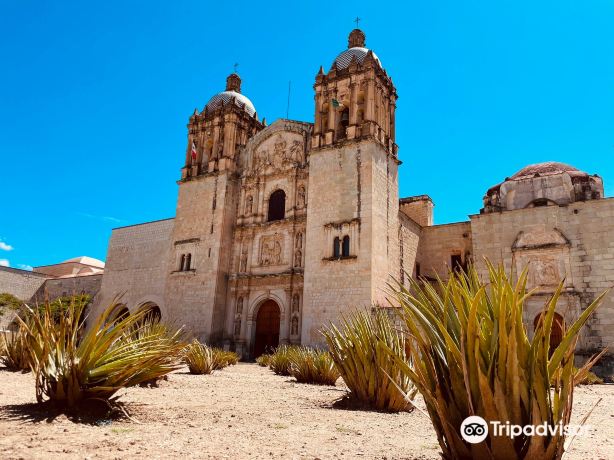 Hoteles que admiten mascotas en Oaxaca | Trip.com