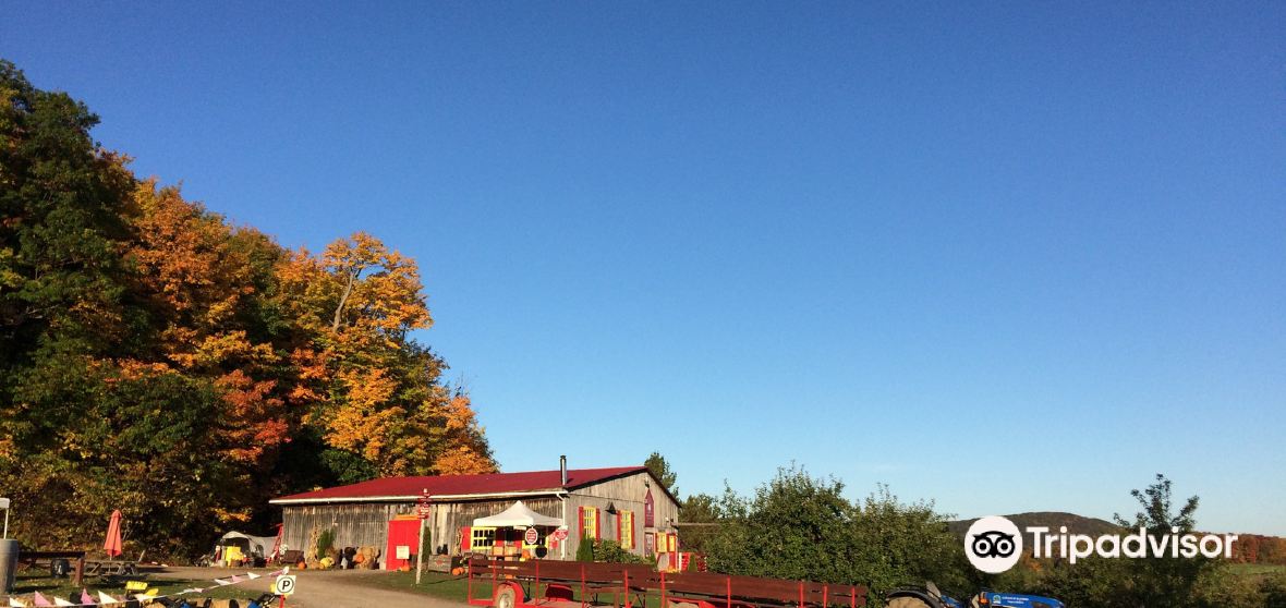 Things to do in Oka (2025): Top nearby activities,popular attractions ...