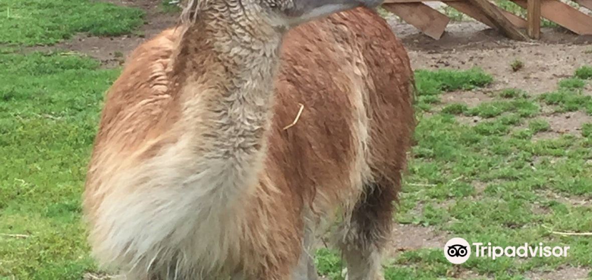 Things to Do in Tangen in 2024 - Top Attractions, Local Food, Hotels ...