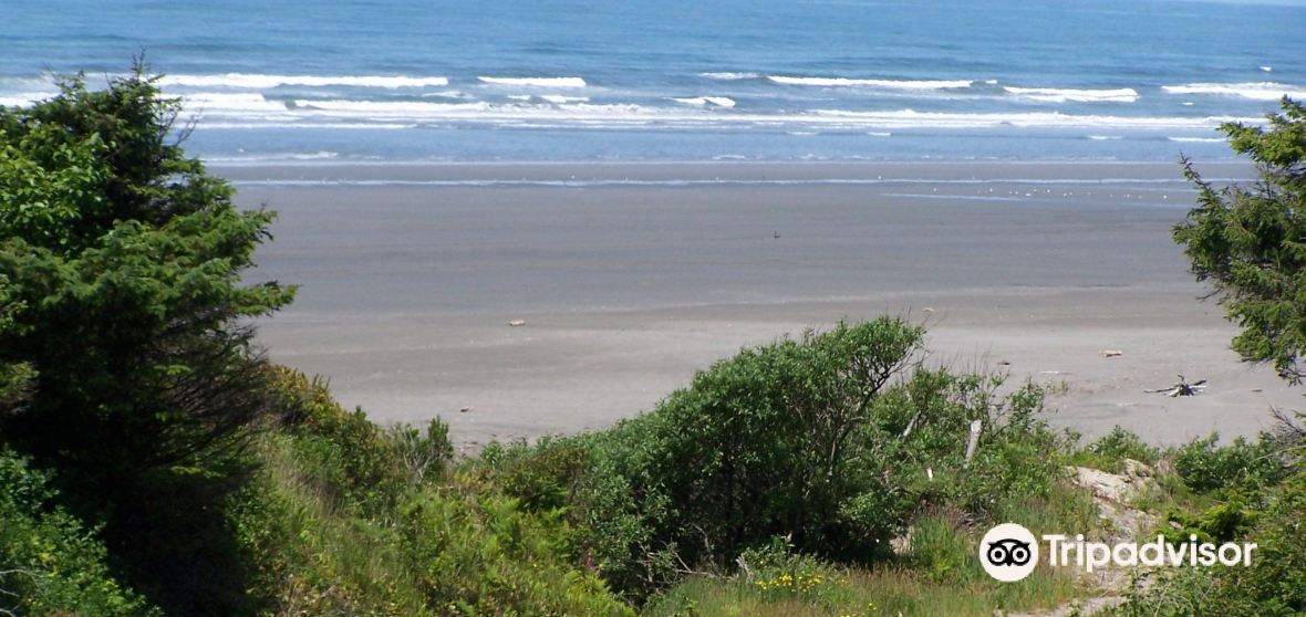 Things to Do in Moclips in 2024 - Top Attractions, Local Food, Hotels ...