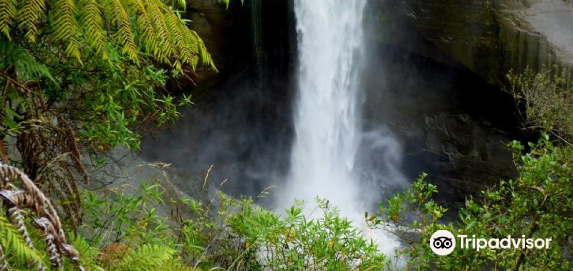 Things to do in Tangarakau (2025): Top nearby activities,popular ...