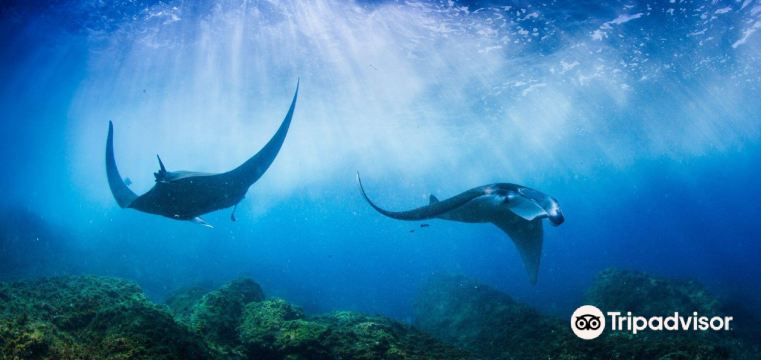 Point Lookout Travel Guide 2025: Top Attractions, Things to Do & Deals ...