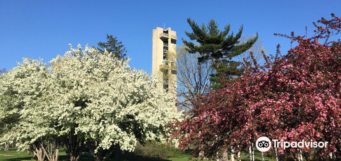 Things to Do in Springfield in 2024 - Top Attractions, Local Food ...