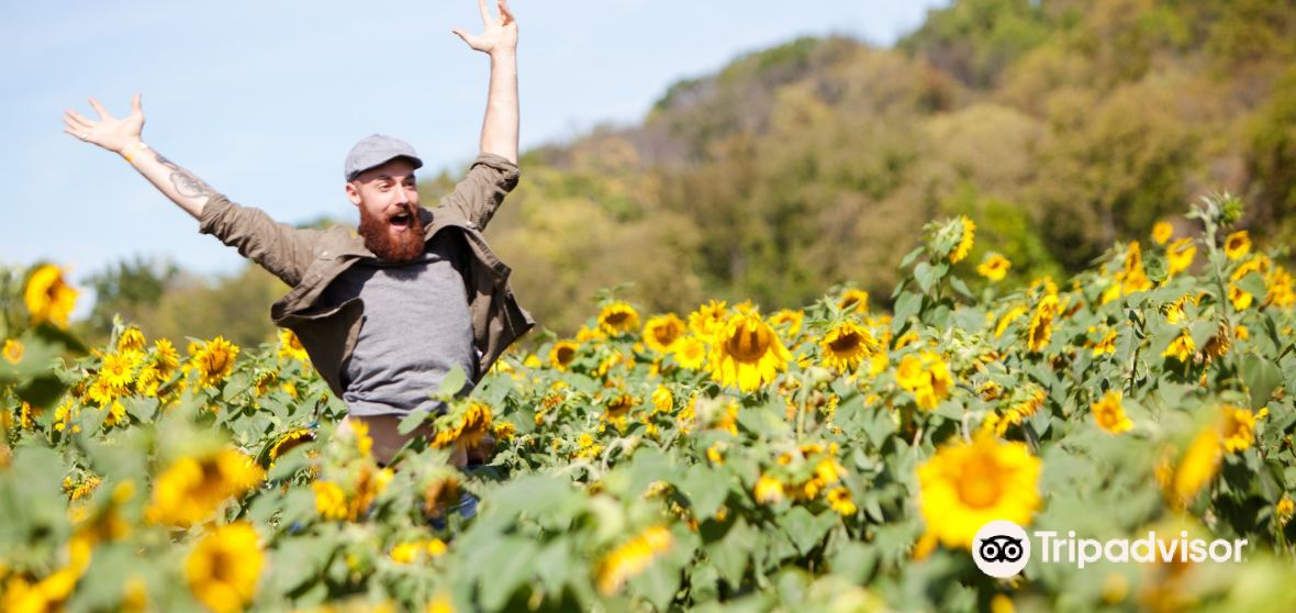 Things to do in Evendale (2025): Top nearby activities,popular ...