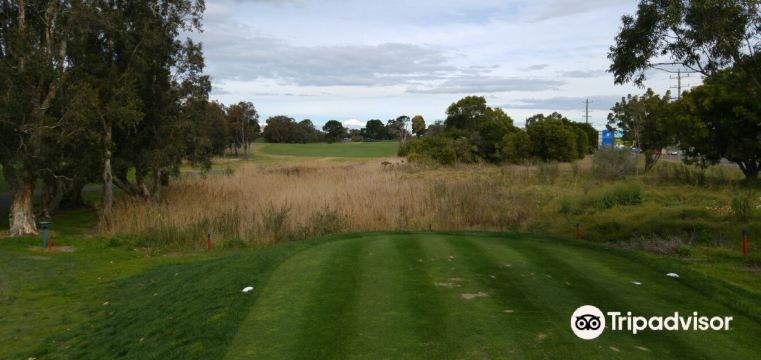 Things to Do in Fern Bay in 2024 - Top Attractions, Local Food, Hotels ...