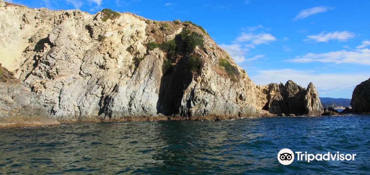 คู่มือเที่ยวWaikawa Bayด้วยตัวเอง (2025): สุดยอดกิจกรรมน่าสนใจใกล้คุณ ...