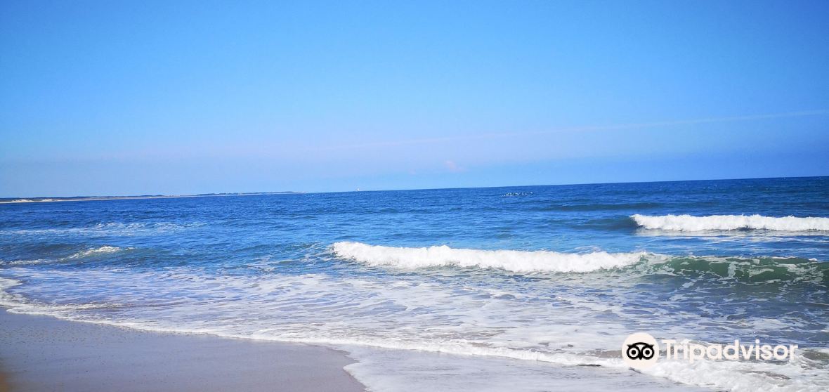 เที่ยวEast Chevington (2024) - ที่เที่ยวใน East Chevington, กิจกรรมสนุก ...