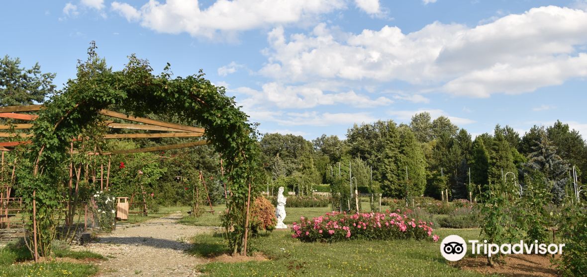 Things to Do in Vieska nad Zitavou in 2024 - Top Attractions, Local ...