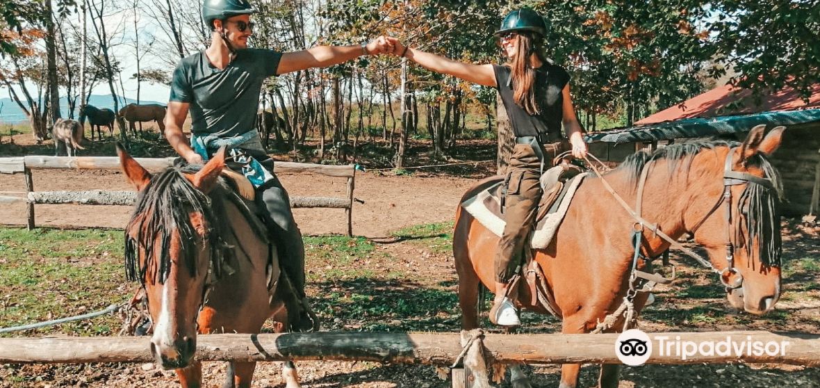 Grabovac Travel Guide 2025: Top Attractions, Things to Do & Deals ...