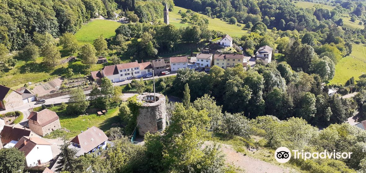 Donnersbergkreis Travel Guide 2024 - Things to Do, What To Eat & Tips ...