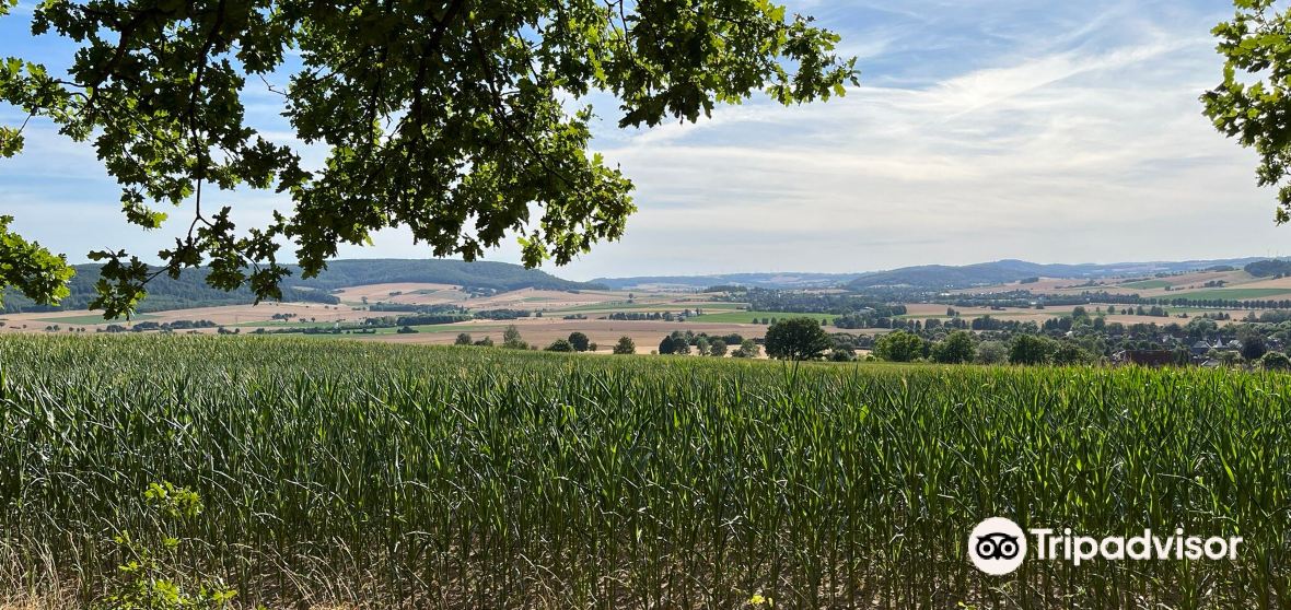 Things to Do in Emmerthal in 2024 - Top Attractions, Local Food, Hotels ...