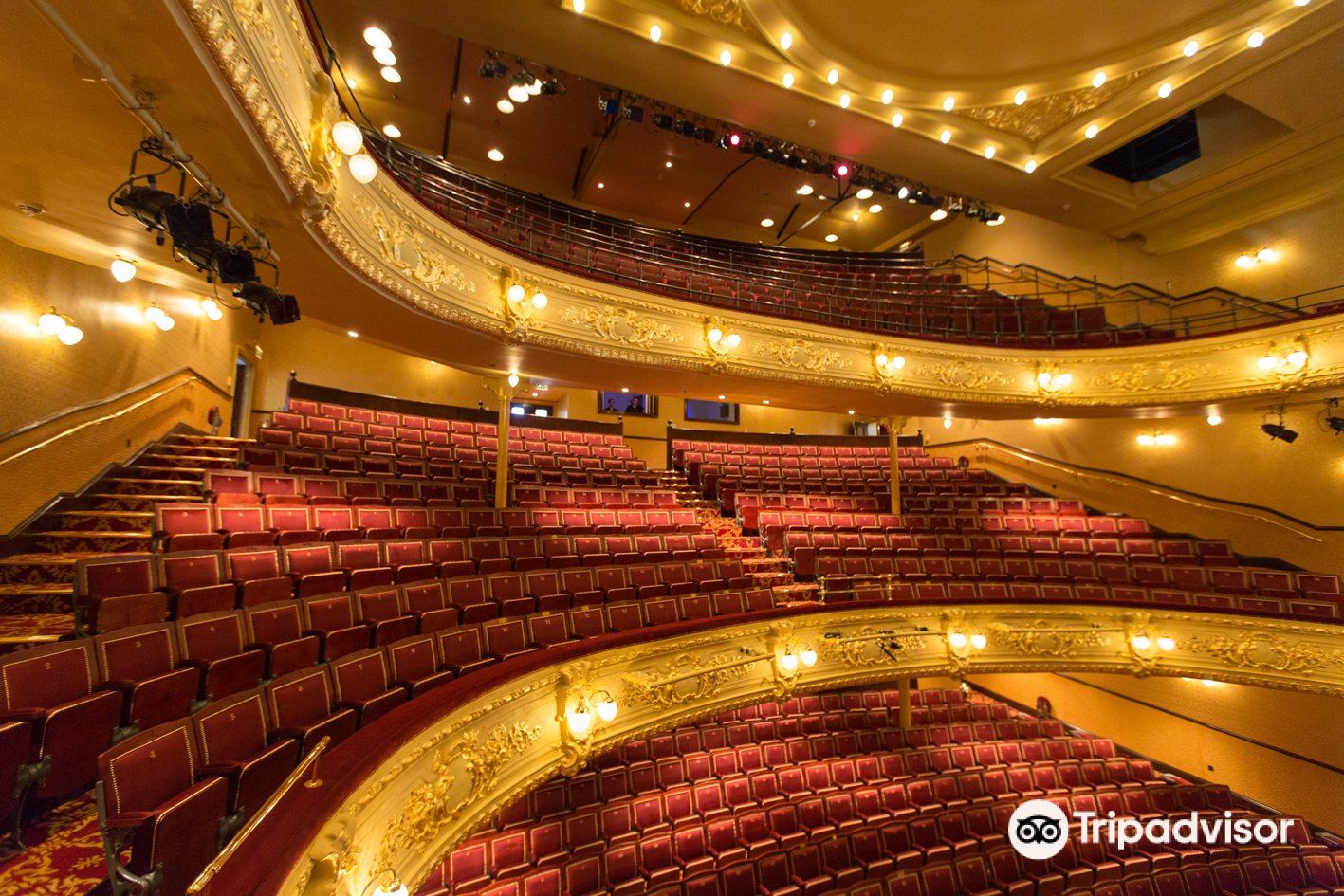 Majestic Theatre Darlington Seating Plan | Cabinets Matttroy