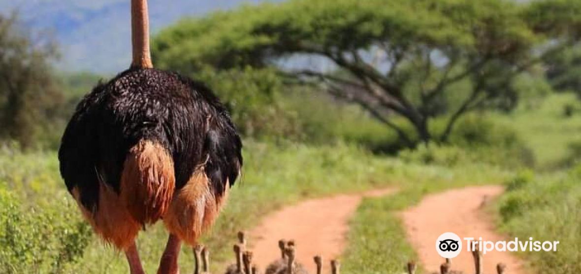 Things to Do in Kwale in 2024 - Top Attractions, Local Food, Hotels ...