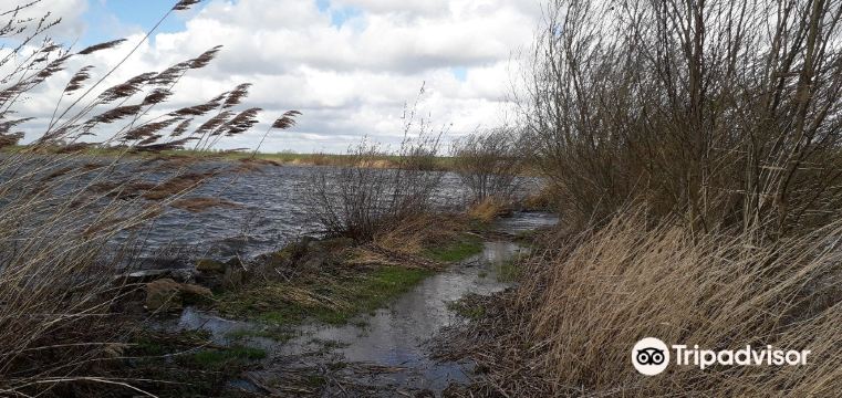 Strijensas Travel Guide 2024 - Things to Do, What To Eat & Tips | Trip.com