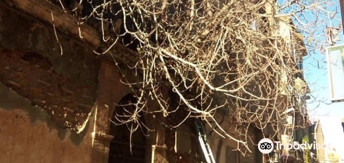 Things to Do in Ouled Yaich in 2024 - Top Attractions, Local Food ...