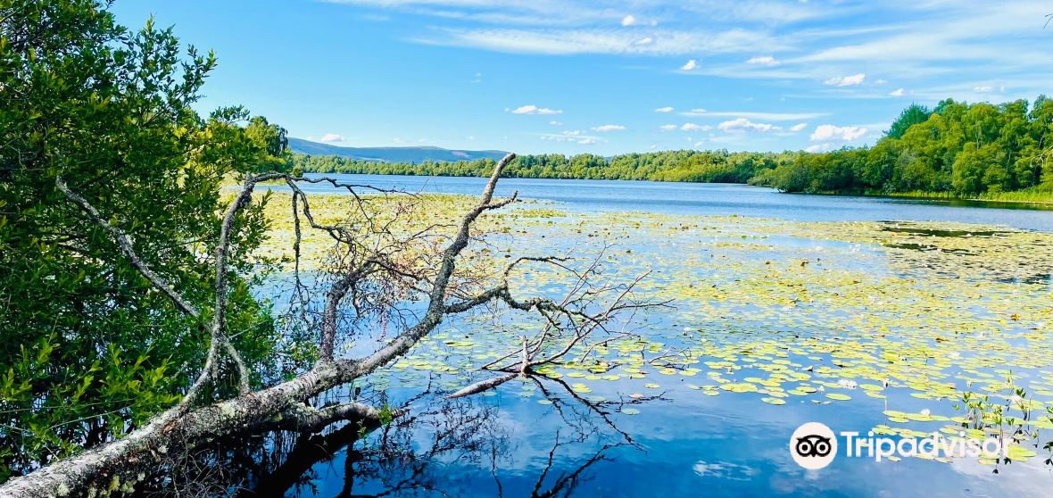 Things to Do in Aboyne in 2024 - Top Attractions, Local Food, Hotels ...