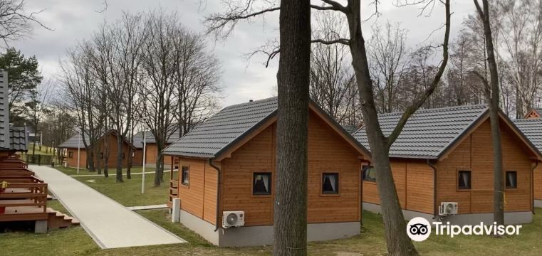 Strzelin County Travel Guide 2024 - Things to Do, What To Eat & Tips ...