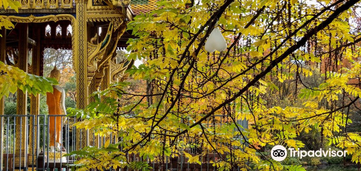 Things to Do in Sendling-Westpark in 2024 - Top Attractions, Local Food ...