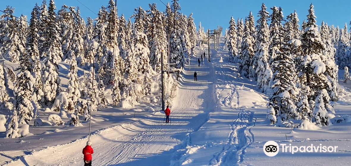 Kongsberg Travel Guide 2023 - Things to Do, What To Eat & Tips | Trip.com