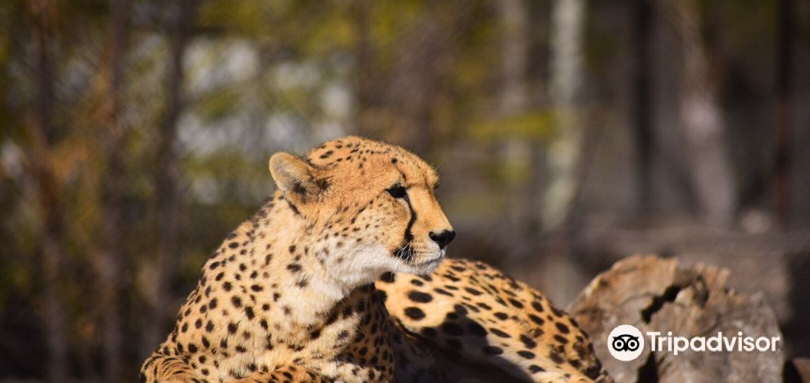 แนะนำการเดินทาง Ellisras 2024 - สิ่งที่ควรทำ, อาหารที่ควรรับประทาน ...