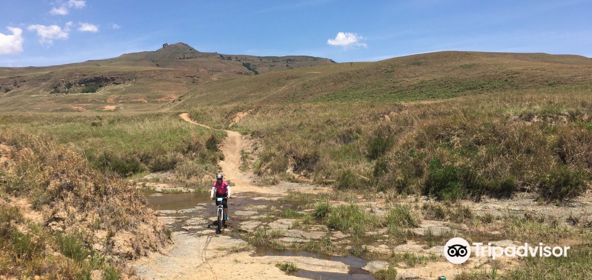 Things to Do in Uthukela DC in 2024 - Top Attractions, Local Food ...