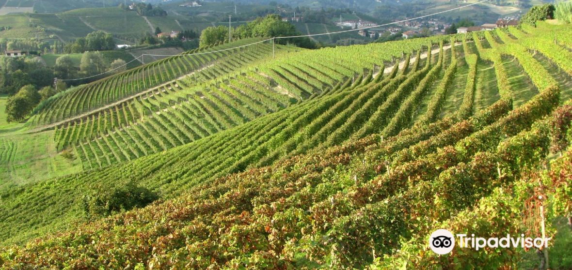 Things to Do in Monteu Roero in 2024 - Top Attractions, Local Food ...