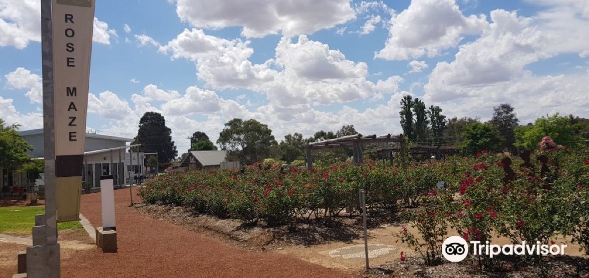 Things to Do in Kojonup in 2024 - Top Attractions, Local Food, Hotels ...