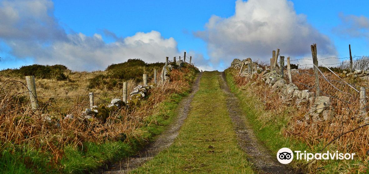 Ballinaboy 여행 가이드(2025년): 인기 관광지, 교통, 날씨 등 (업데이트 날짜: 2025년 9월) | Trip.com