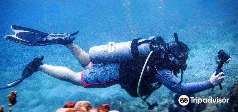 Things to do in Manati (2025): Top nearby activities,popular ...