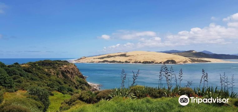 Omapere Travel Guide 2026: Top Attractions, Things to Do & Deals | Trip ...
