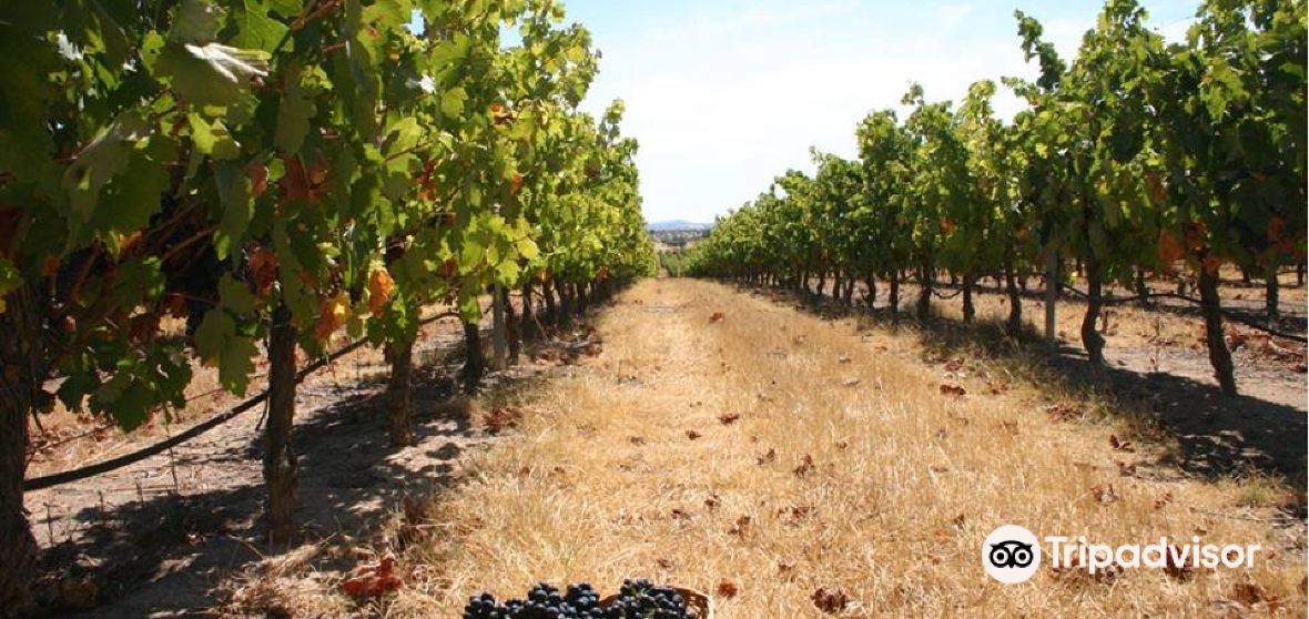 Pias Travel Guide 2024 - Things to Do, What To Eat & Tips | Trip.com