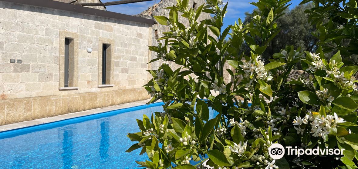 Villa Castelli Travel Guide 2024 - Things to Do, What To Eat & Tips ...